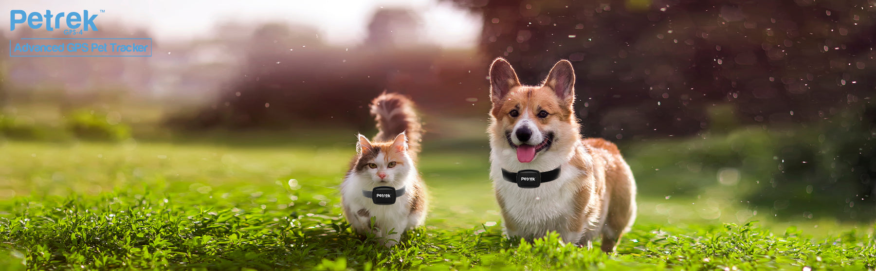 GPS Pet Trackers New Zealand & Australia