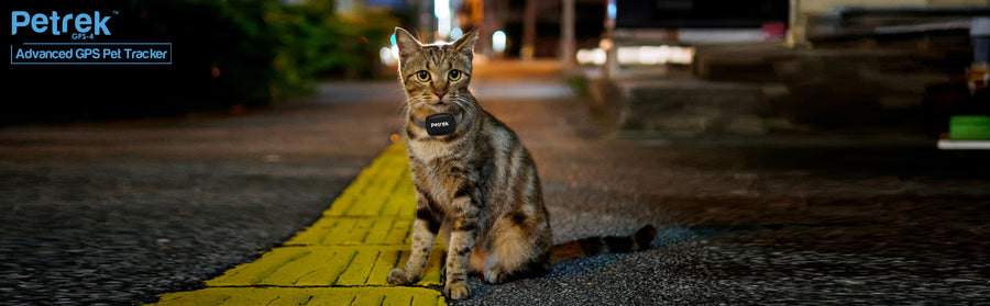 GPS Pet Trackers New Zealand & Australia